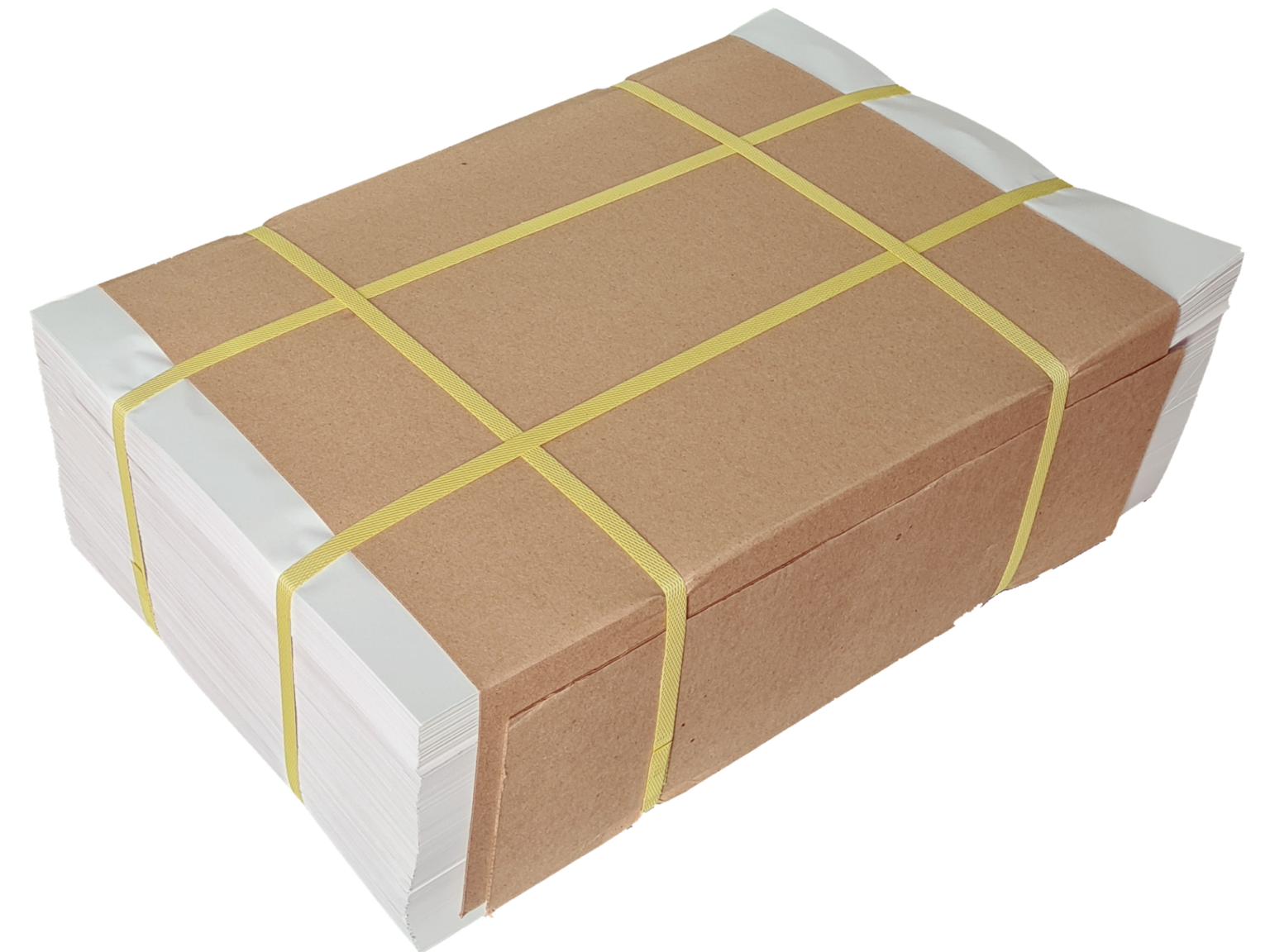 Taller de Corte de Papel® | Papel Café